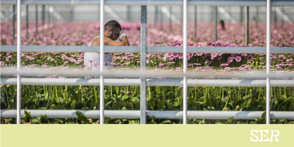 Lusten en lasten (her)verdelen: hoe doen we dat? | SER